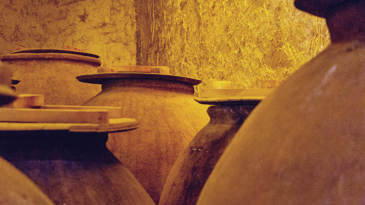 Visitando a vinícola Bodegas Re, no Vale de Casablanba