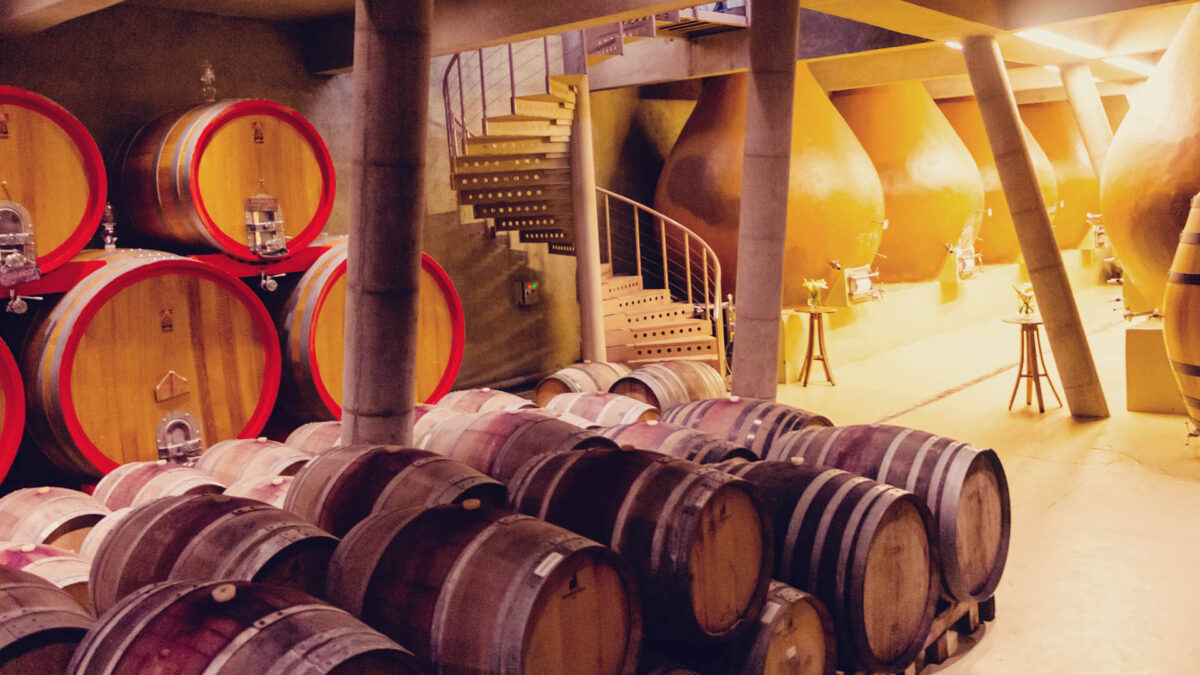 Visitando a vinícola Bodegas Re, no Vale de Casablanba