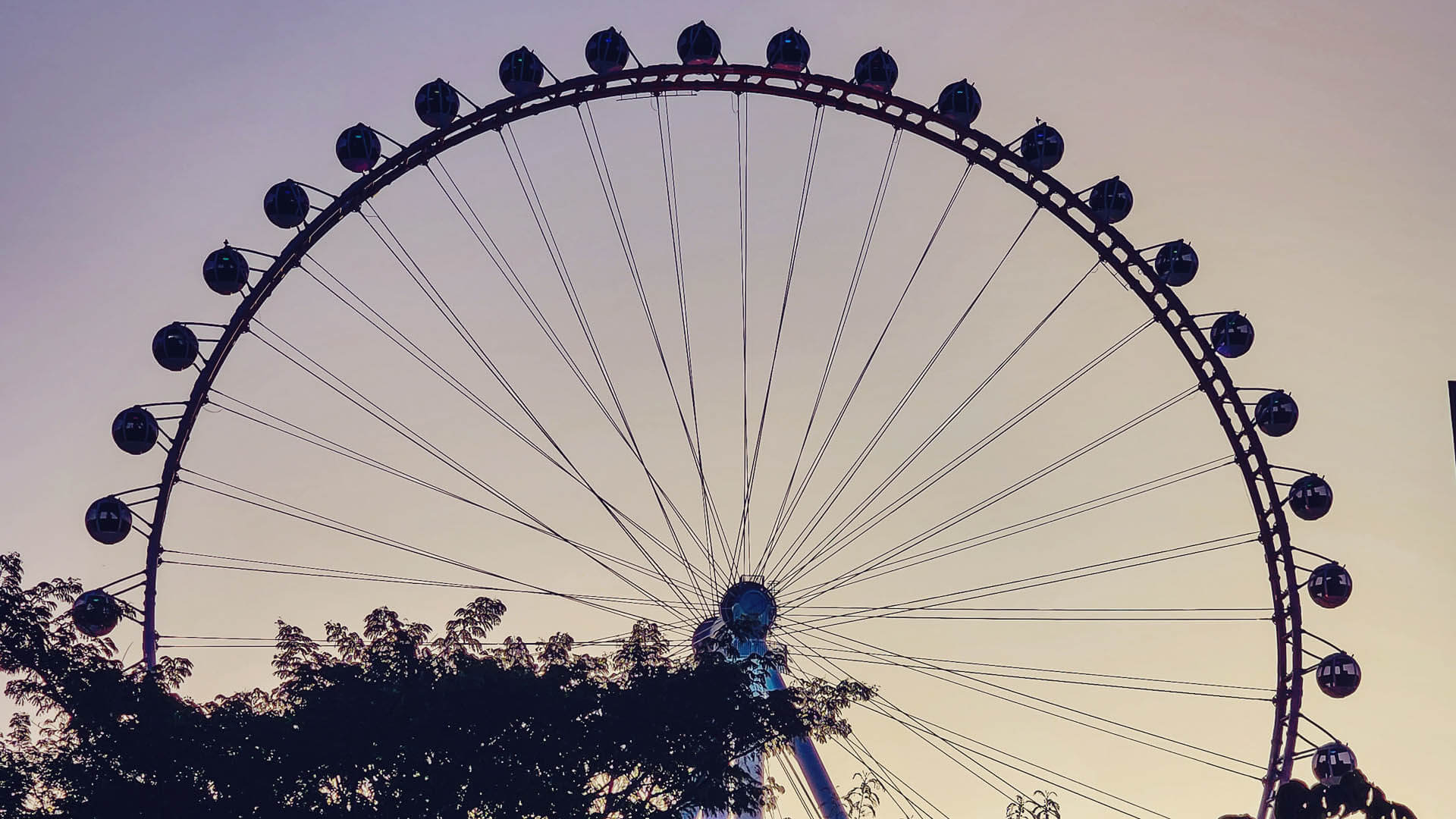 Roda-gigante: conheça a Roda Rico de São Paulo